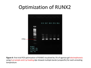 Presentation indsutrial training | PPT | Free Download