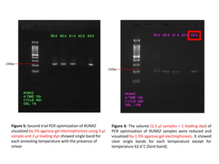 Presentation indsutrial training | PPT
