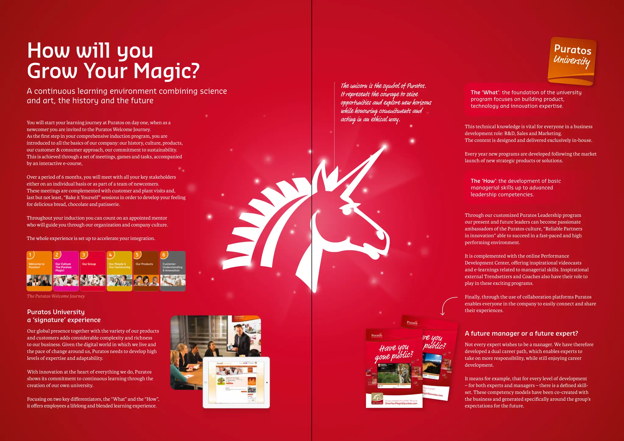HR brochure Puratos Magic | PDF