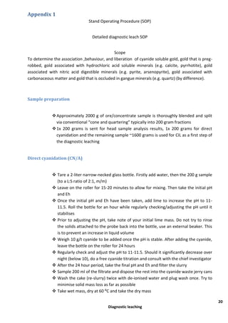 final p1 report diagnostic leaching of gold | DOCX