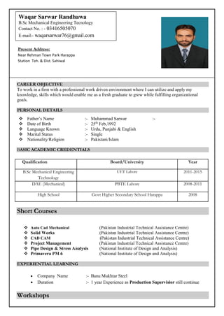Waqar Cv | PDF
