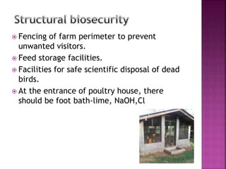 Health and biosecurity of broiler industry | PPTX