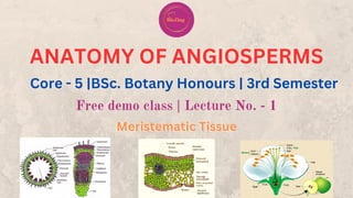 C5 L1.pptx 3RD semester bsc botany honours | PPT