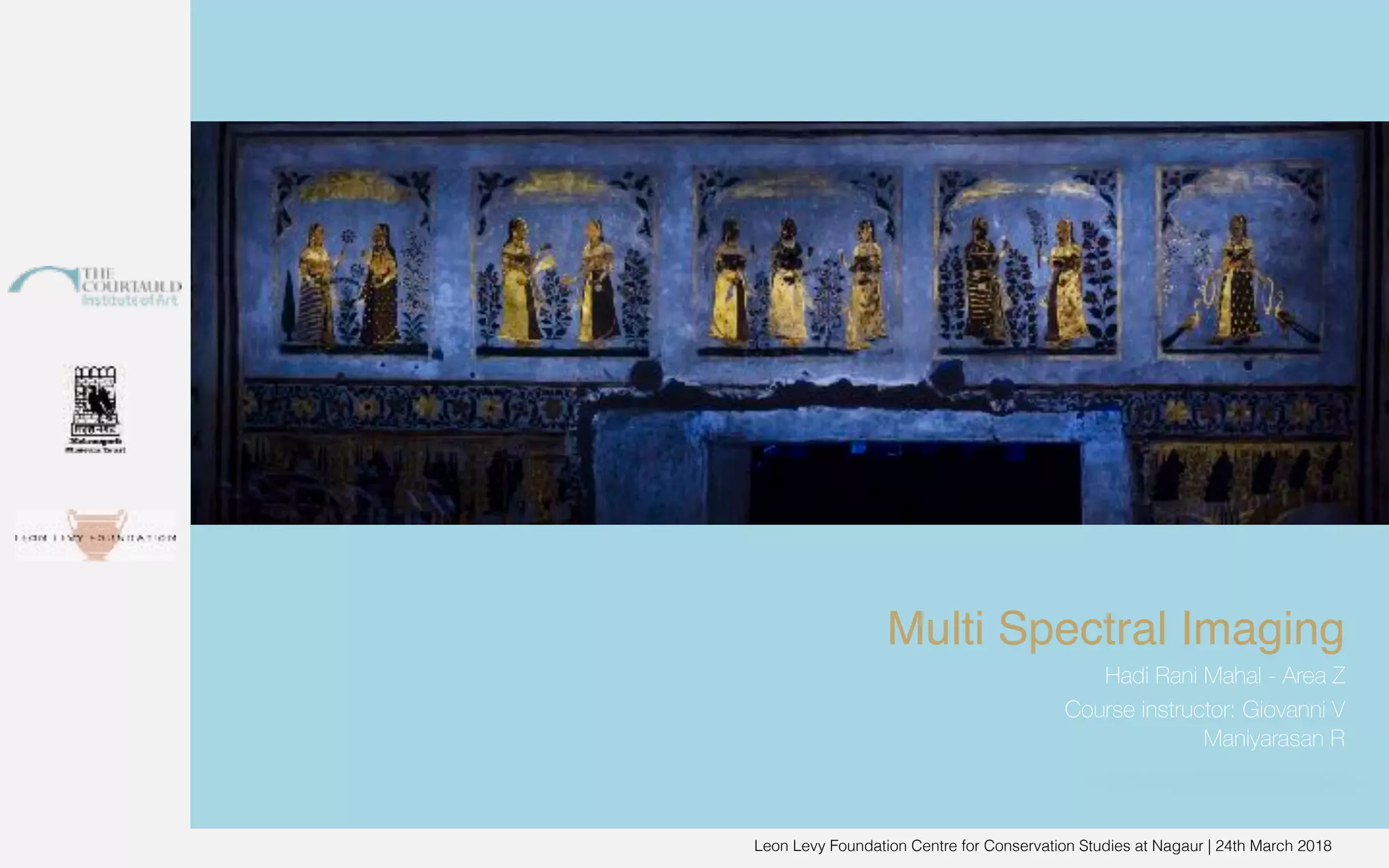 Multi Spectral Imaging | PDF