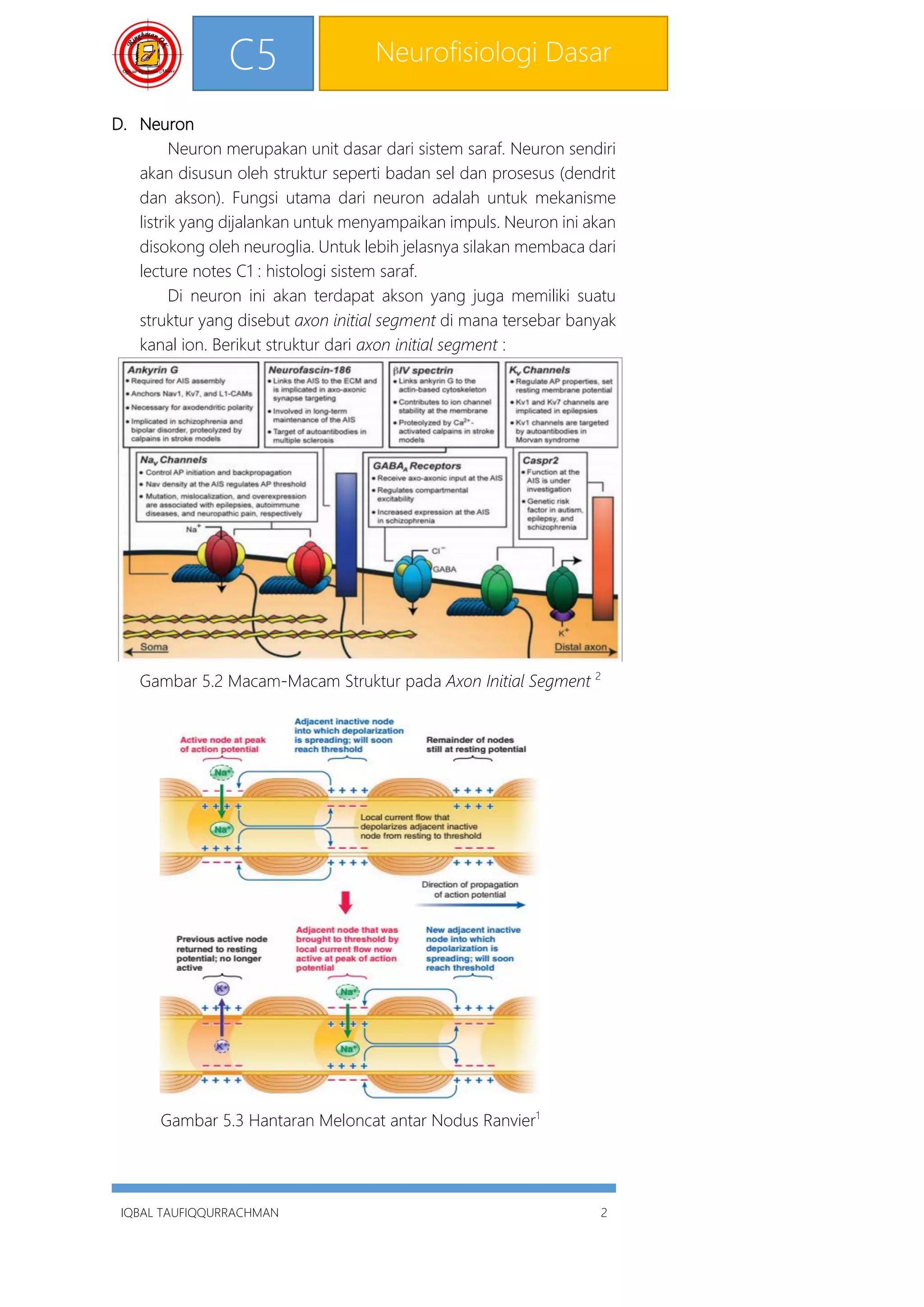 C5 Neurofisiologi Dasar | PDF