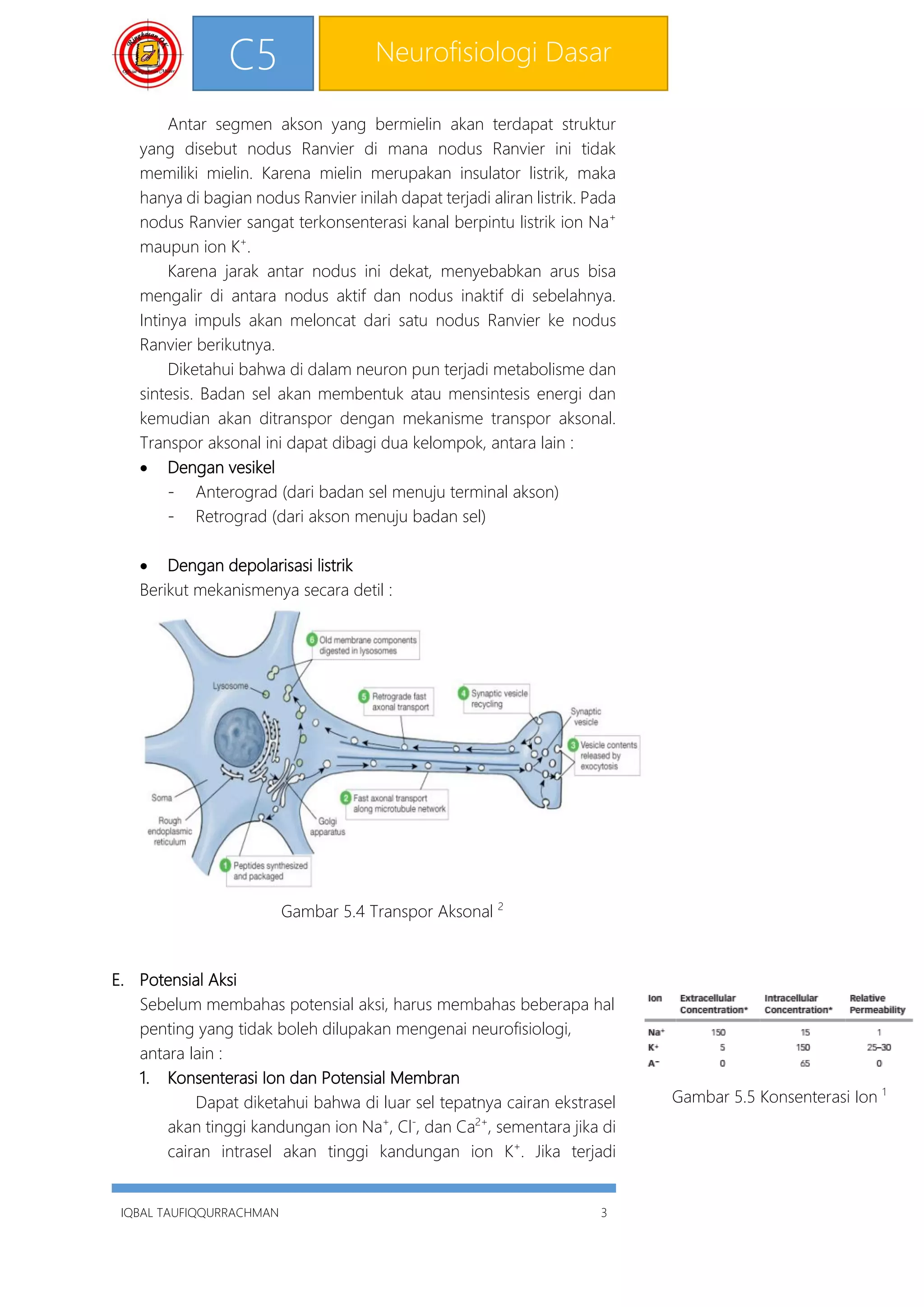 C5 Neurofisiologi Dasar | PDF