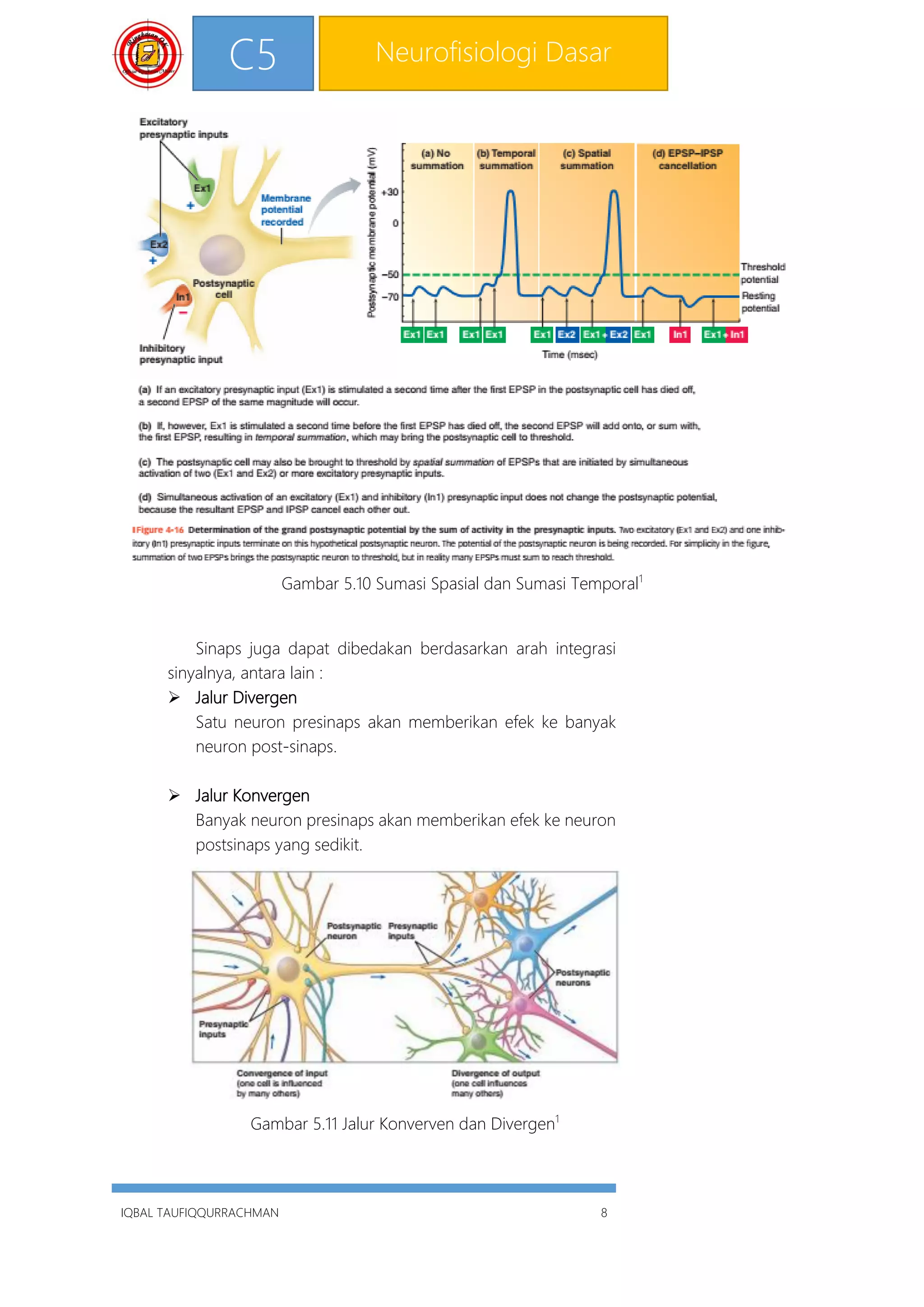 C5 Neurofisiologi Dasar | PDF