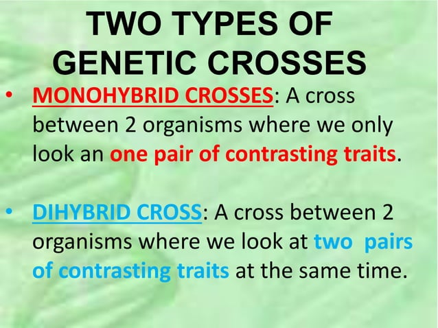 GENETICS AND INHERITENCE | PPT