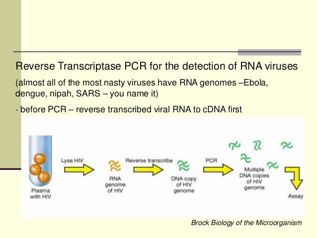 PCR