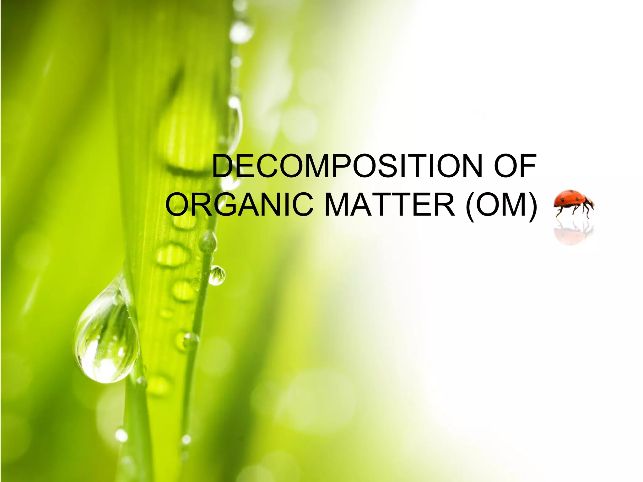 organic matter decomposition | PDF