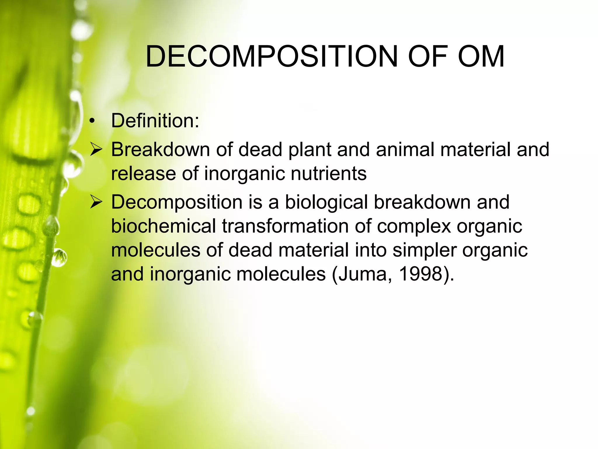 organic matter decomposition | PDF
