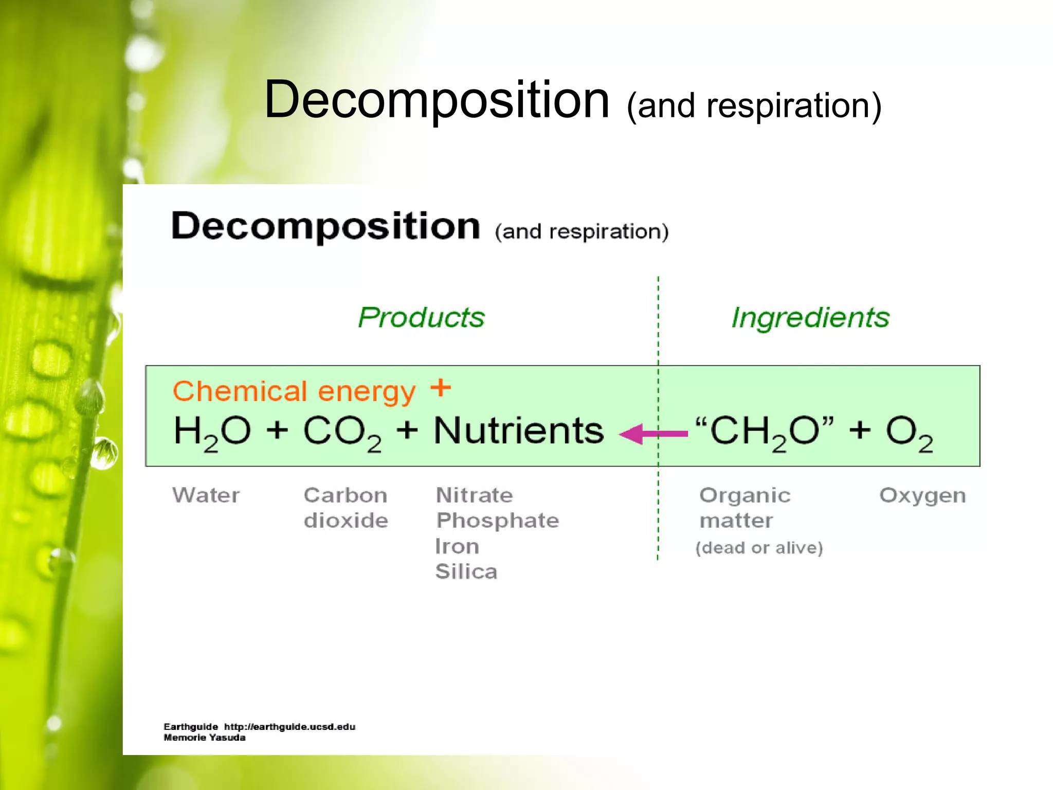 organic matter decomposition | PDF