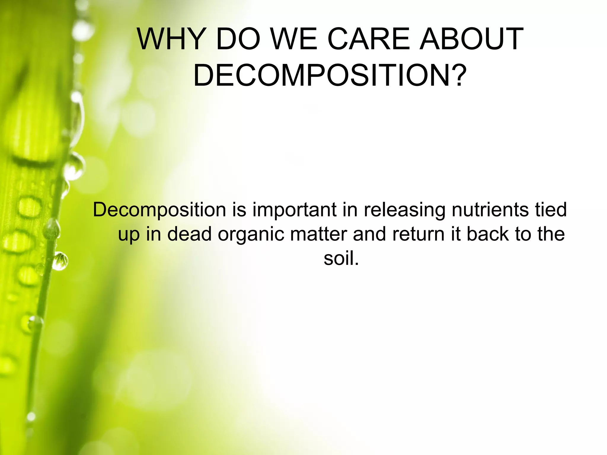organic matter decomposition | PDF