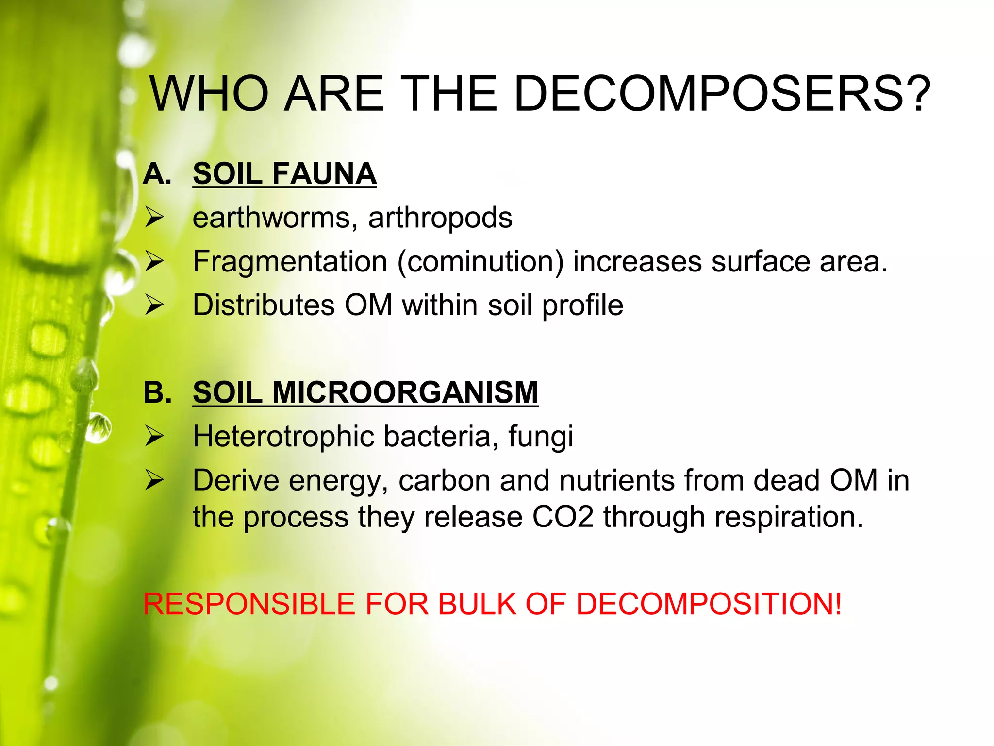 organic matter decomposition | PDF