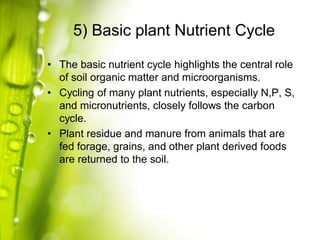 organic matter decomposition | PDF
