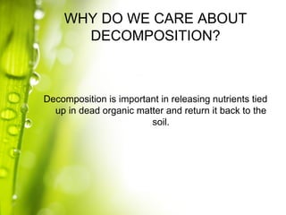 organic matter decomposition | PDF