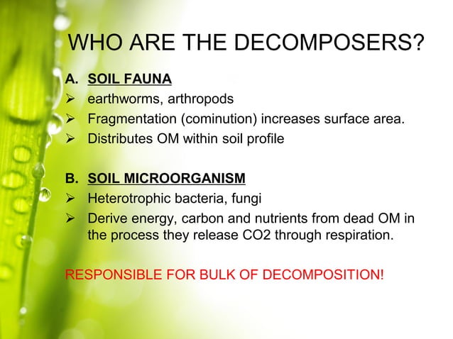organic matter decomposition | PDF