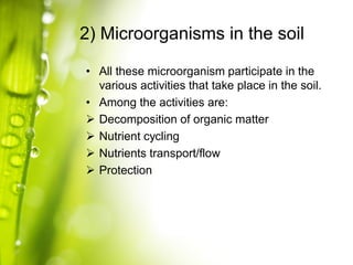 organic matter decomposition | PDF