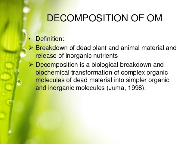 organic matter decomposition
