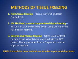 Tissue Freezing Presentation (2) | PPTX