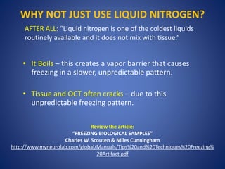 Tissue Freezing Presentation (2) | PPTX