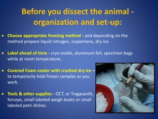 Tissue Freezing Presentation (2) | PPTX