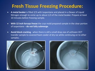 Tissue Freezing Presentation (2) | PPT