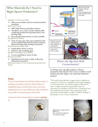 mush spawn cultivation complete | PDF