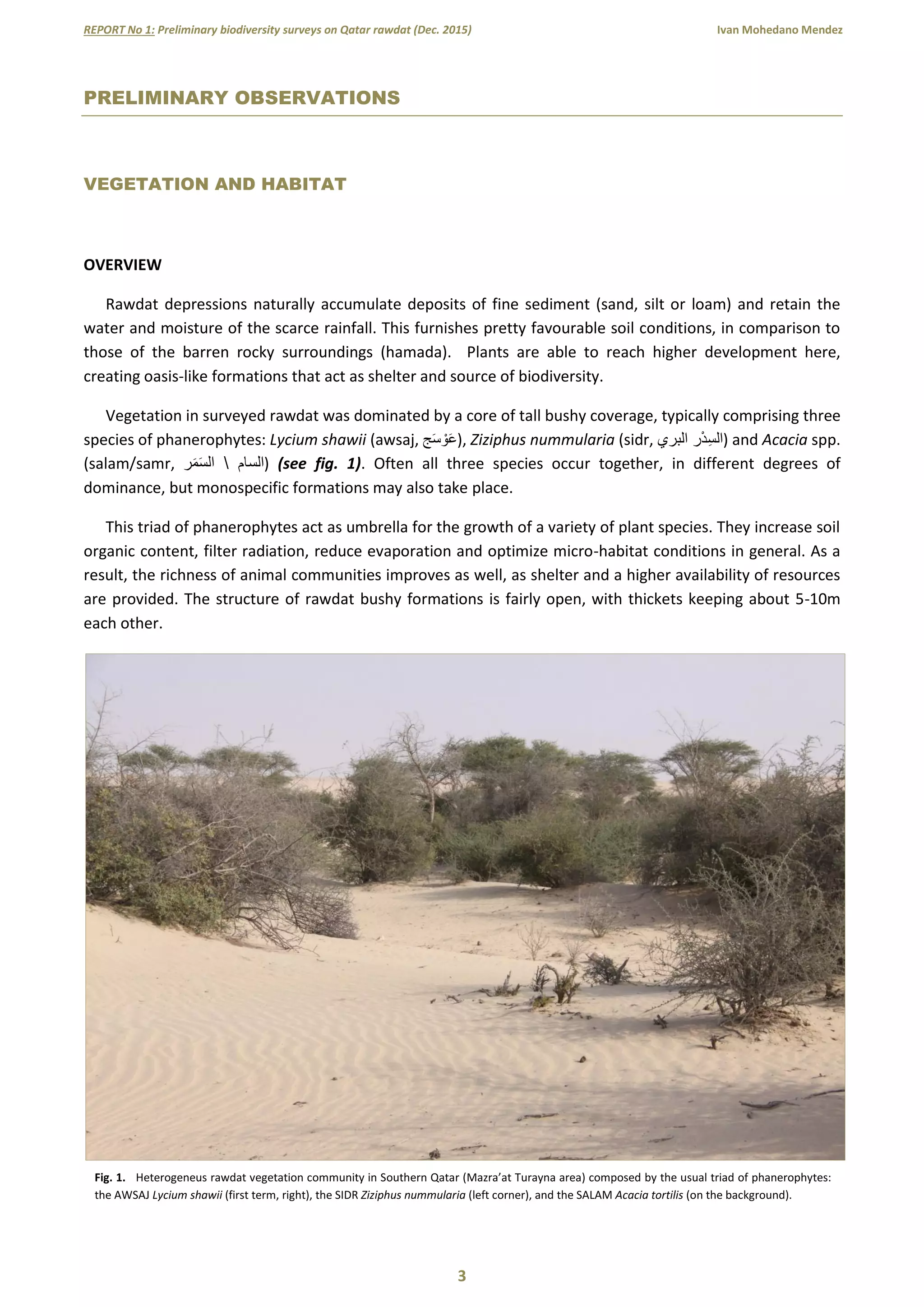 Report No 1. Preliminary report on rawdhat biodiversity (Dec 2015) | PDF