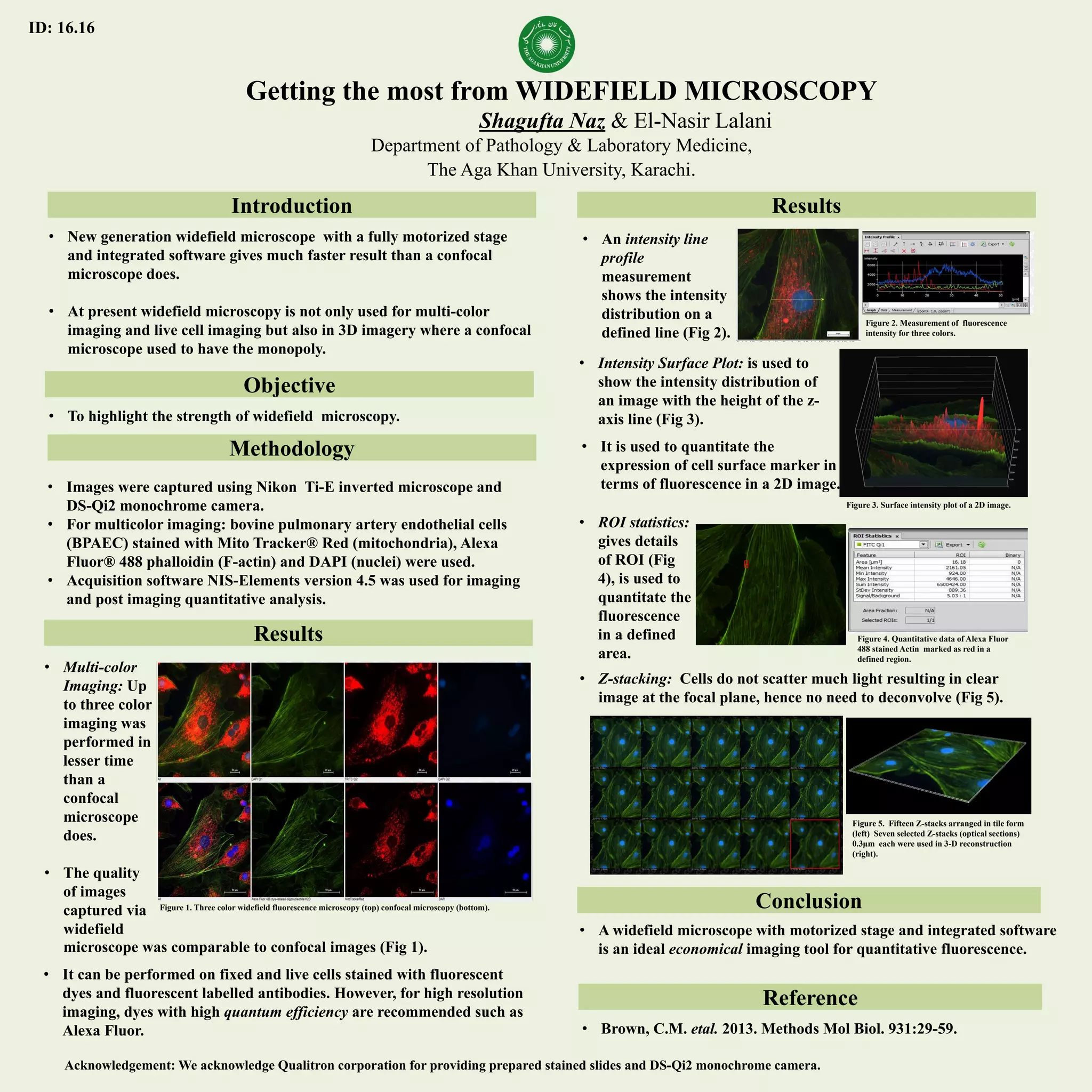 Strength of widefield microscope | PPTX | Physics | Science