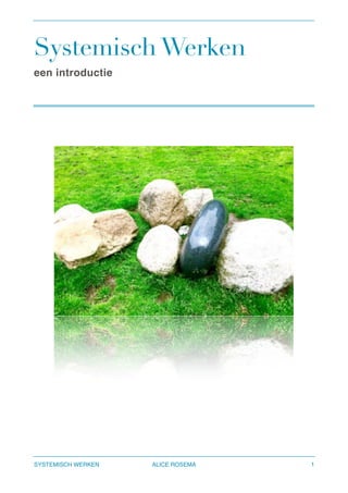 systemisch werken intro | PDF