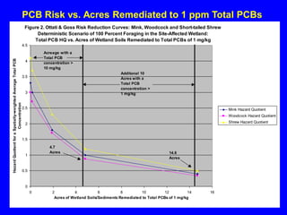PCB Risk Reduction | PPT