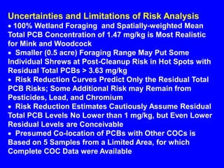 PCB Risk Reduction | PPT