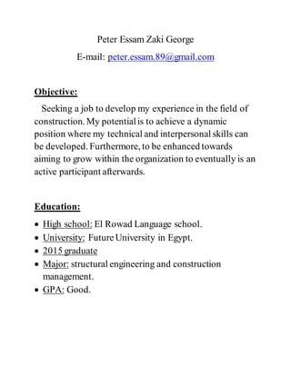 peter's new c.v. | DOCX