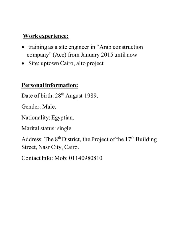 peter's new c.v. | DOCX