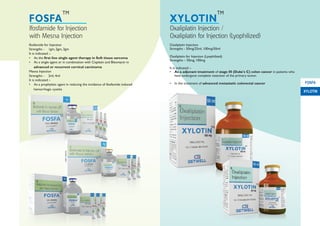 Product Visual Guide | PDF