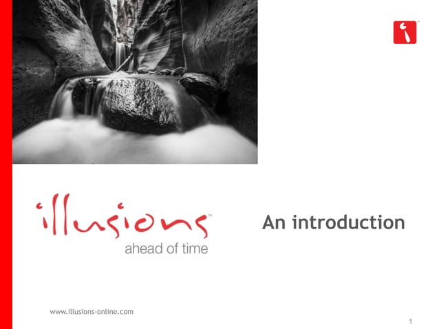 Illusions Online Corporate presentation | PPTX | Cloud Computing | Internet