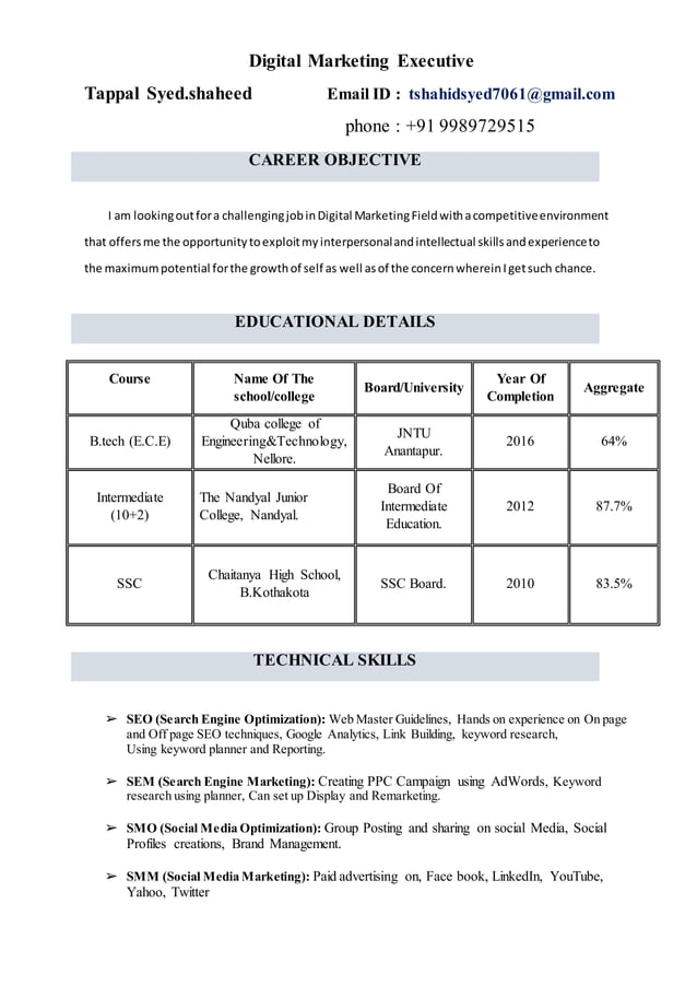 seo orginal resume | PDF