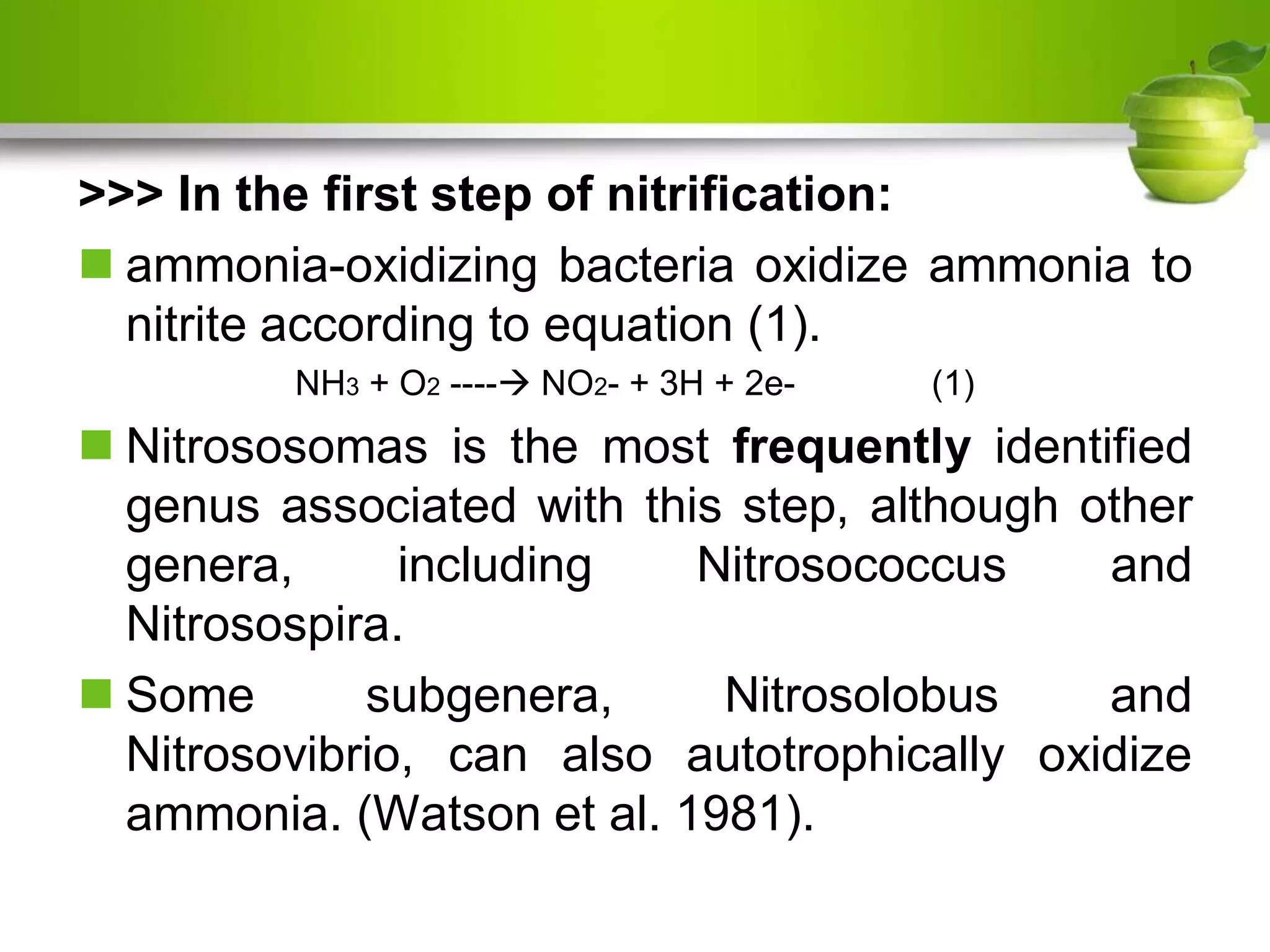 nutrients cycle | PDF