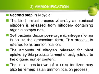 nutrients cycle | PDF