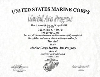 USMC Martial Arts Tan Belt 30Apr2003 | PDF