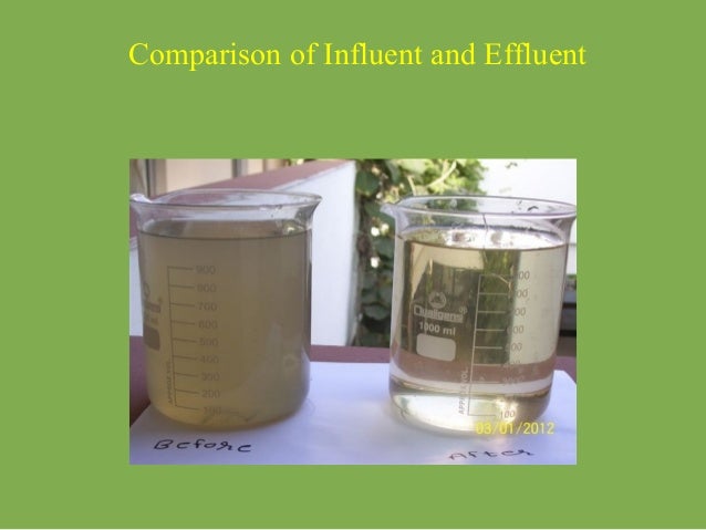 Products presentation