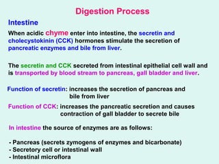 digestion | PPT