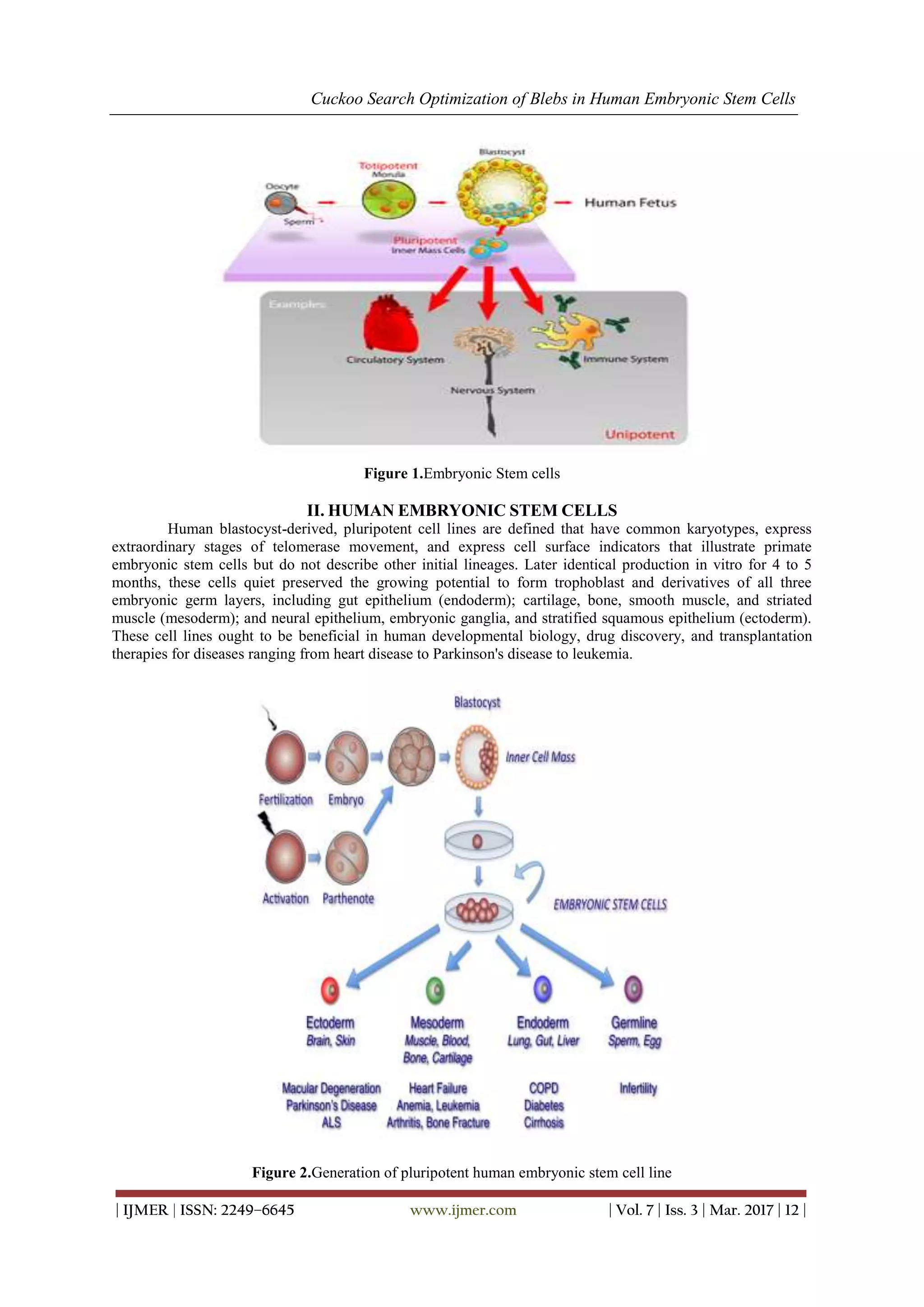 Cuckoo Search Optimization of Blebs in Human Embryonic Stem Cells | PDF