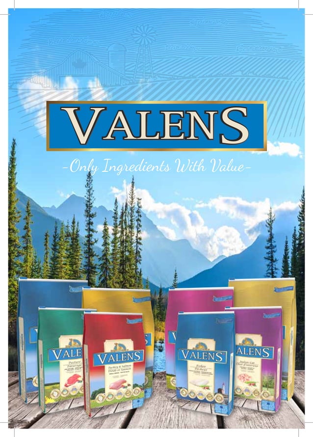 Valens Brochure New English September 2016 | PDF