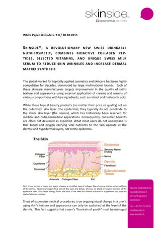 Skinside White Paper Oct 2015 | PDF