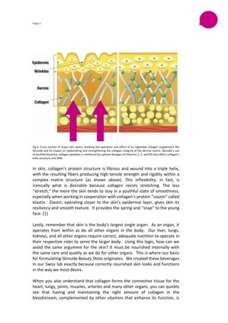 Skinside White Paper Oct 2015 | PDF