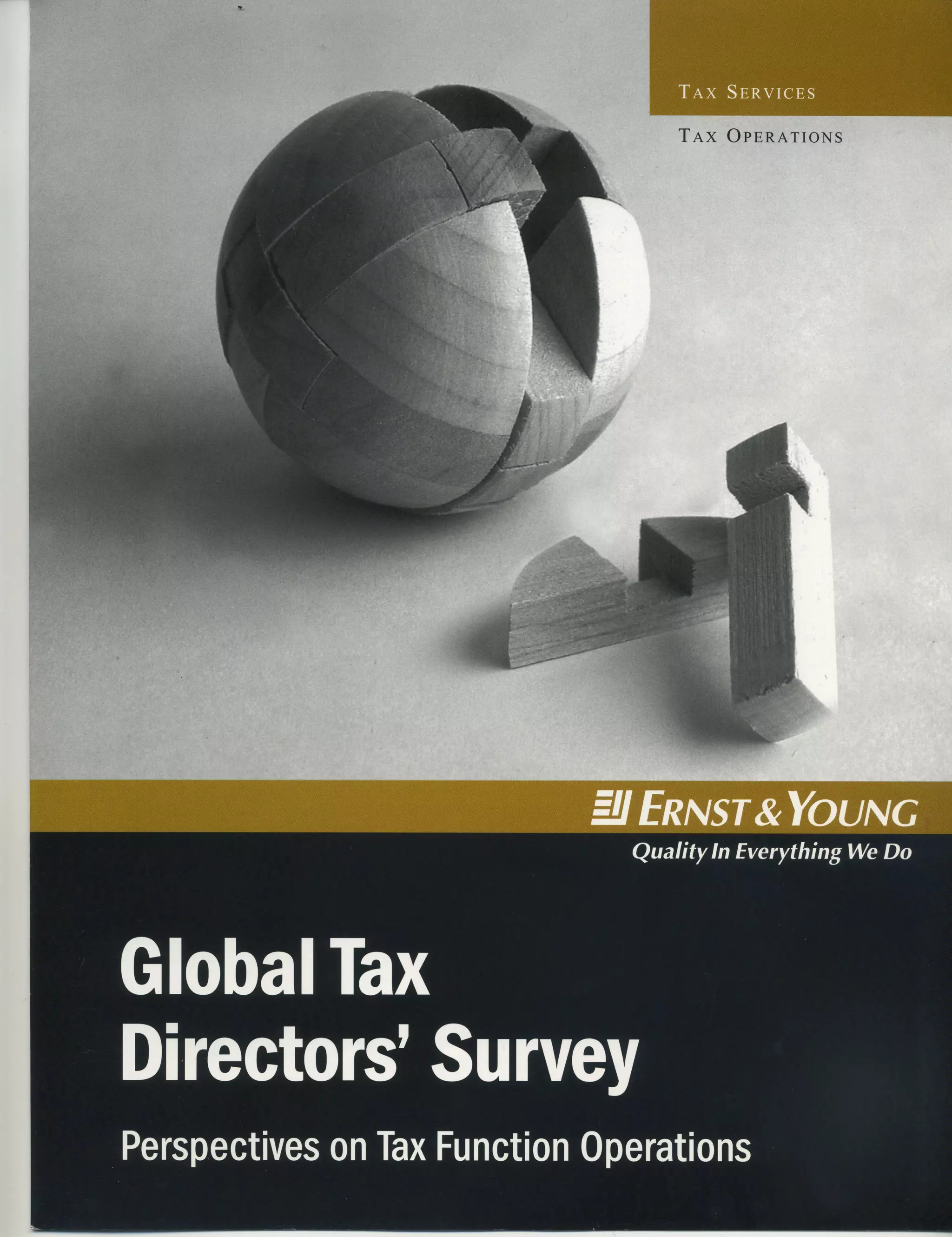 2003 Global Tax Directors Survey | PDF