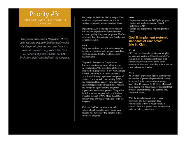 ESC RCP Strategic Plan 2011-2105 | PPT