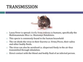 UNDERSTANDING LASSA FEVER | PPTX